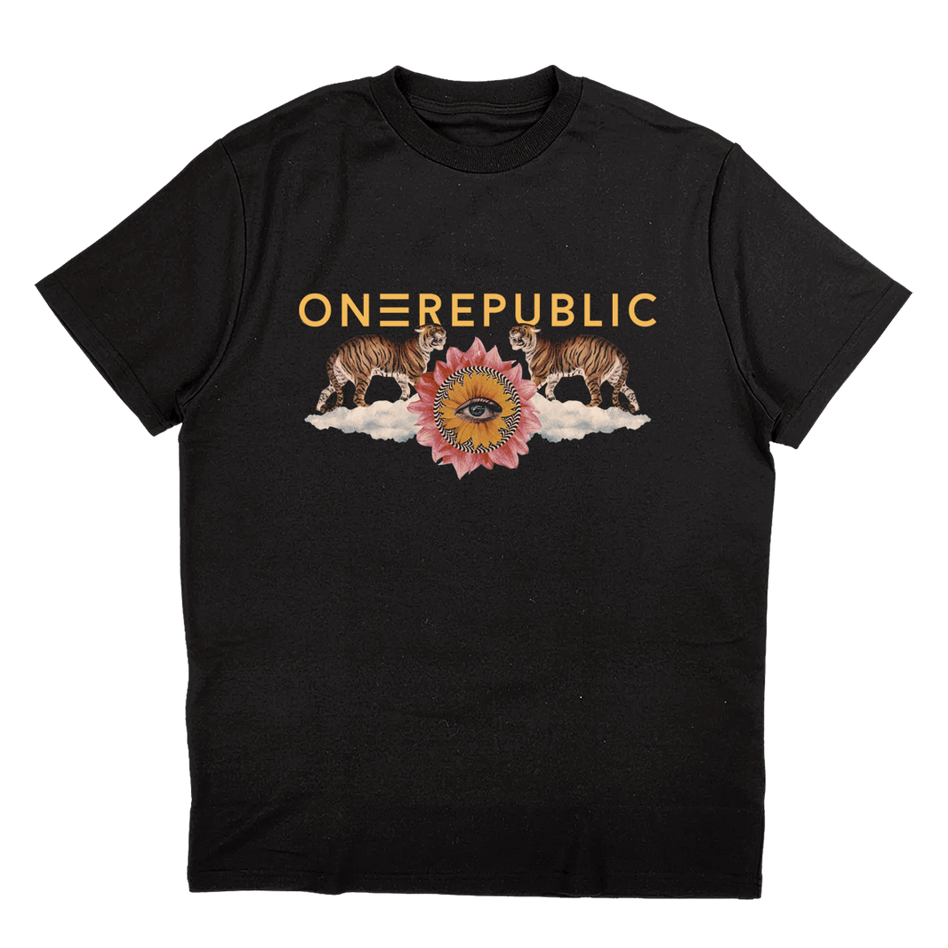 ONEREPUBLIC - STORE